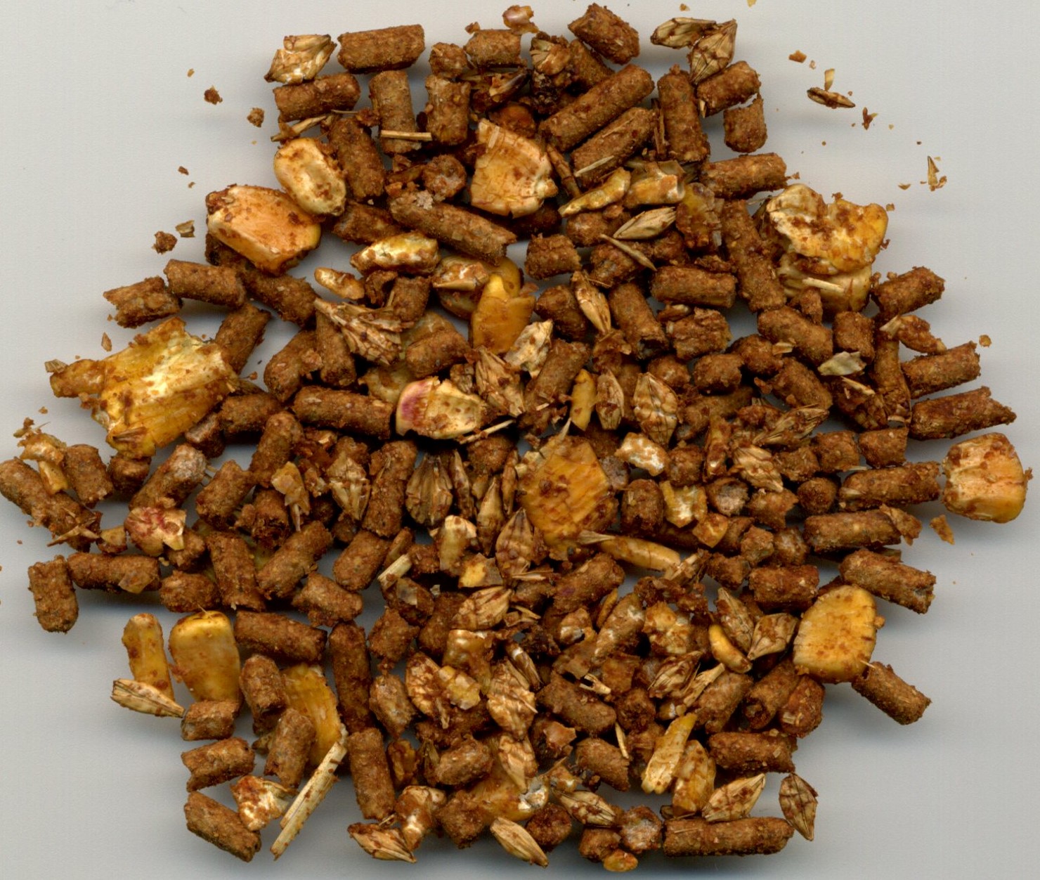 Martin's Had a Little Lamb... - Martin's Elevator